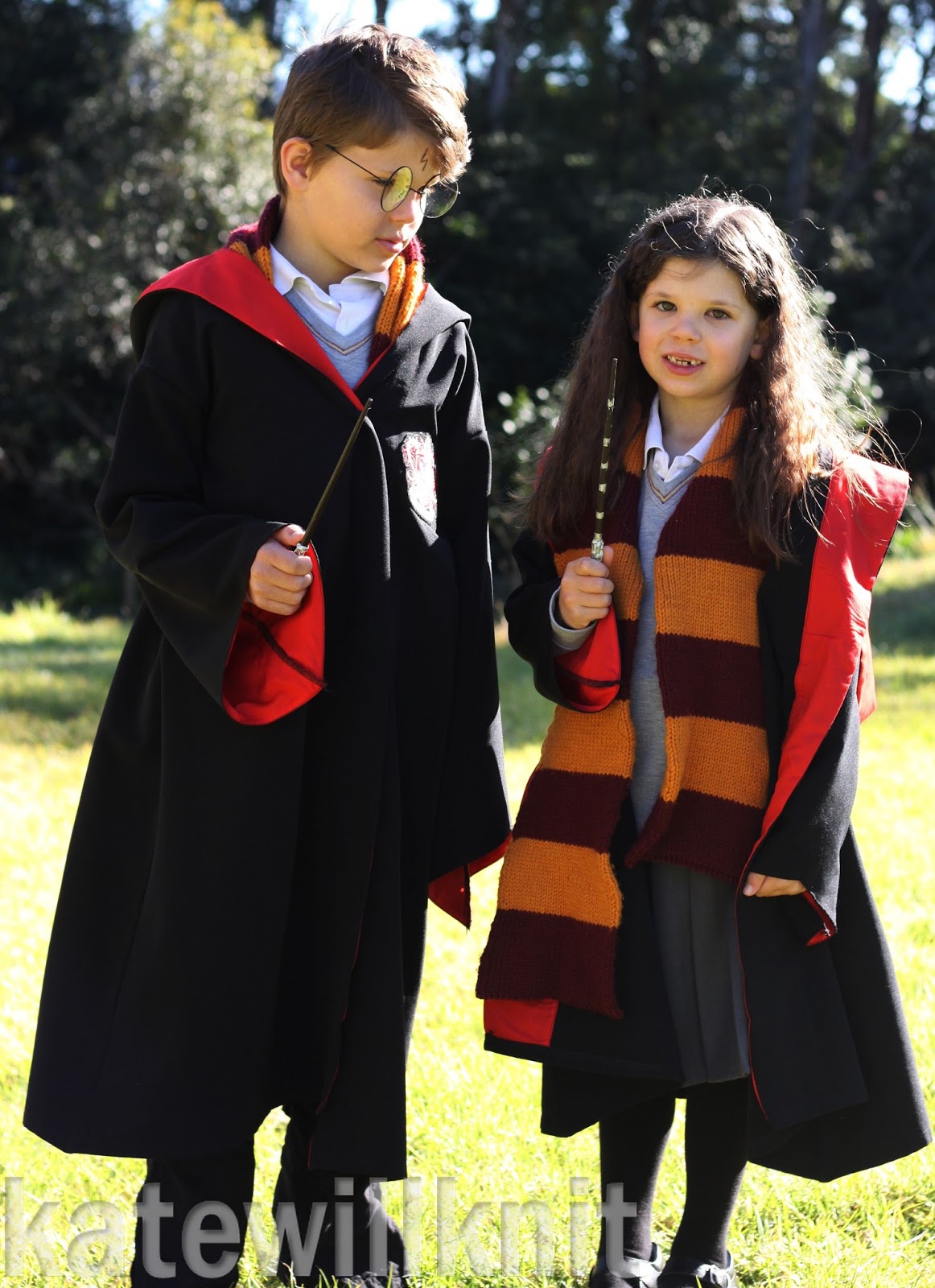 Harry and Hermione - Bookweek Costumes