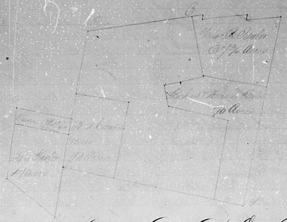 The Salt of America: Part II: The Taylor & Riley Families of Daviess ...