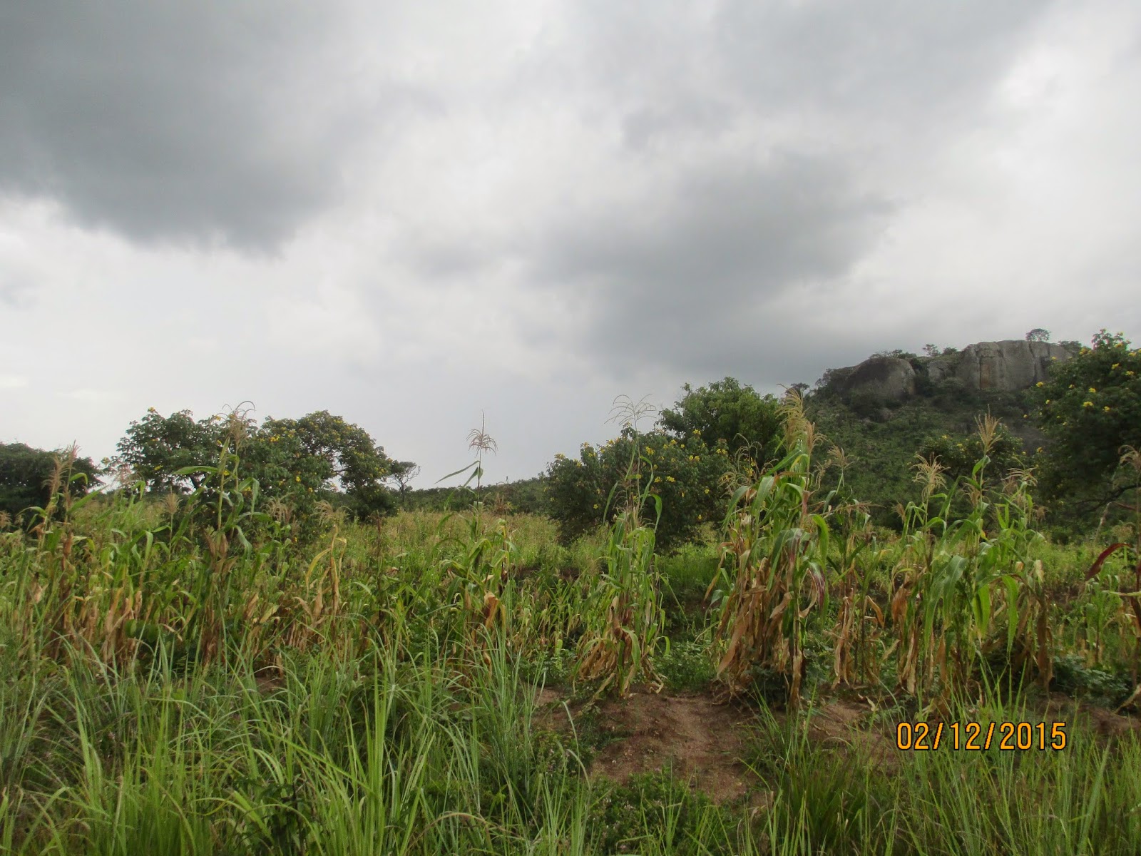 Merrills Angola Mission: HUAMBO AND MENONGUE