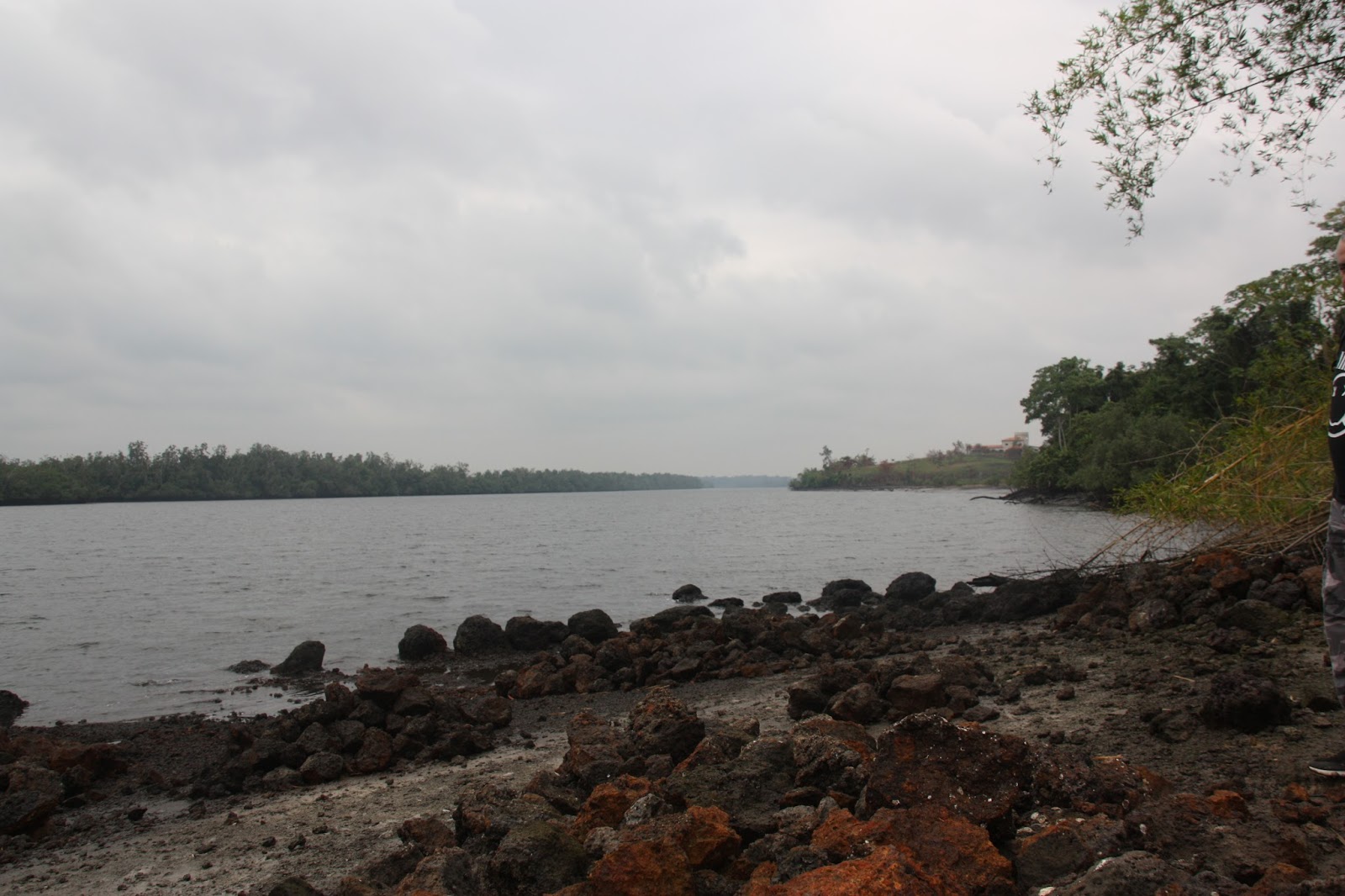 Notre aventure au Gabon: La mangrove du Parc National de l'Akanda
