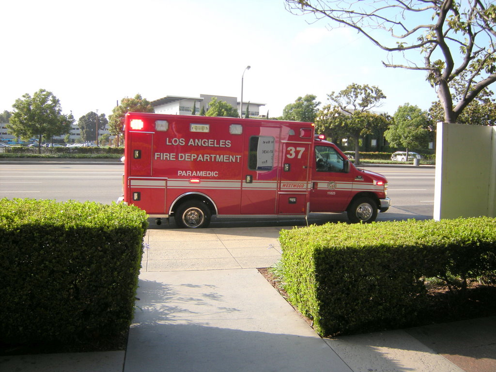 L.A. Kompany: LAFD Paramedic on Wilshire Blvd.