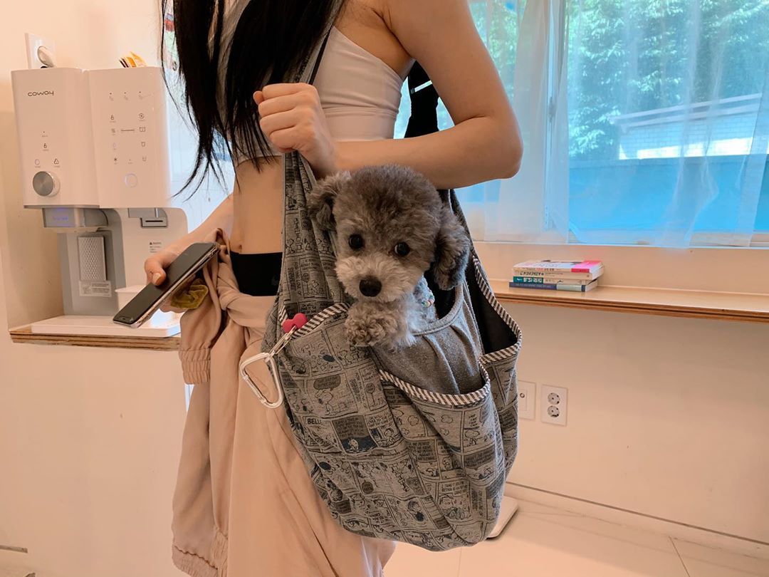 SNSD Taeyeon is ready to go out with Zero! - Wonderful Generation