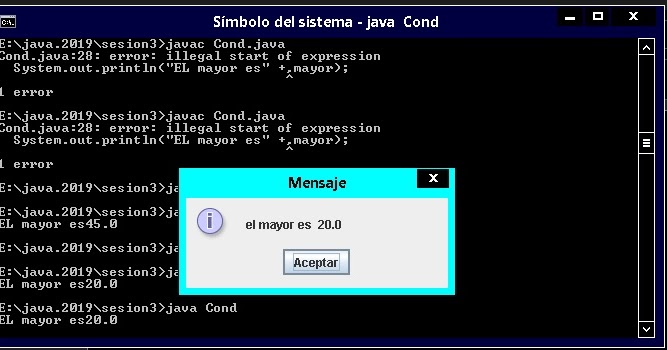 Codigos de Programacion: Operador Ternario Condicional con Java