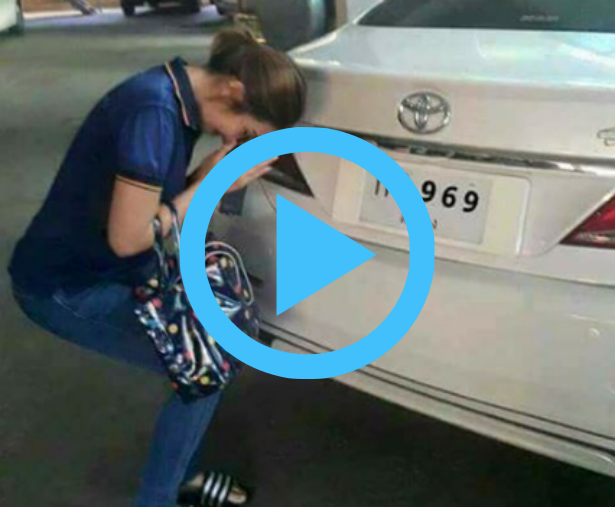 Electric Actuator Axial Flow Control Valve for Industry Gas - general ...