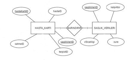 COMPUTER SCIENCE: E-R(ENTITY RELATIONSHIP MODEL) MODELİ