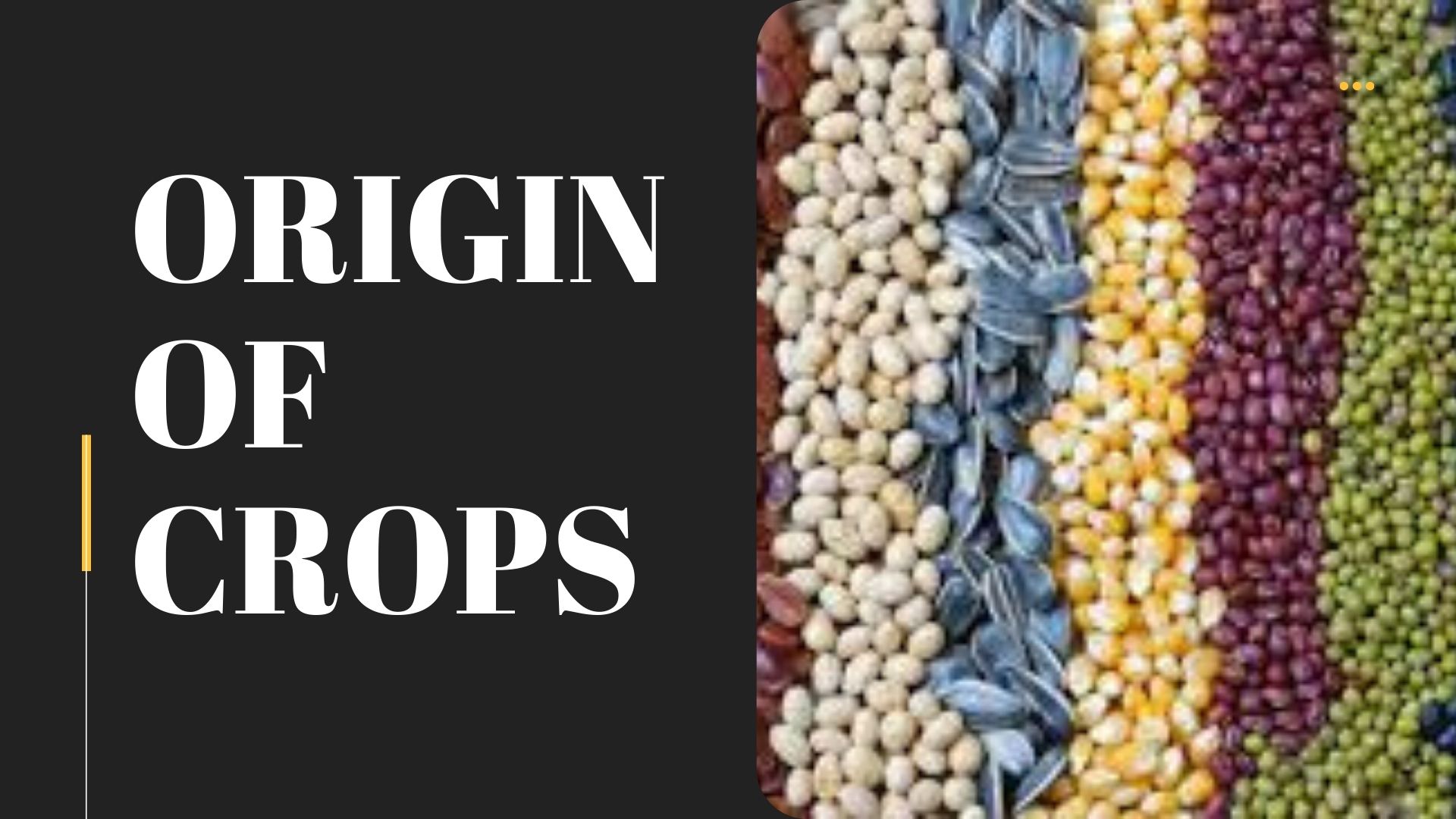Daily Dosage - Origin of Crops - General agriculture - 04 ~ Agri Info
