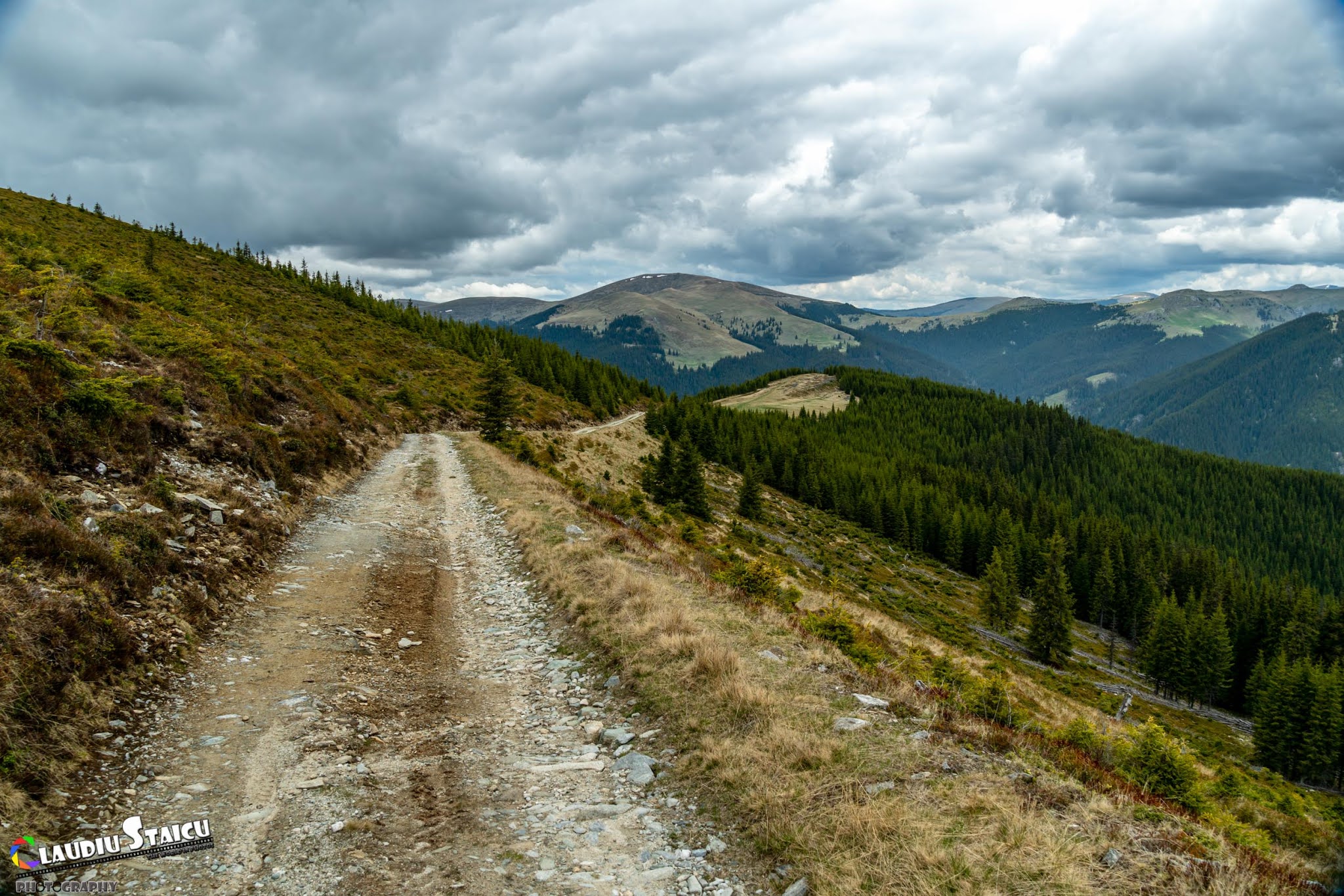 Cheile Oltetului-Curmatura Oltetului
