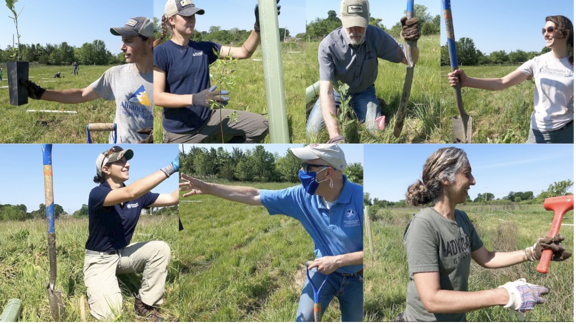 PA Environment Digest Blog: Lancaster County Clean Water Partners ...