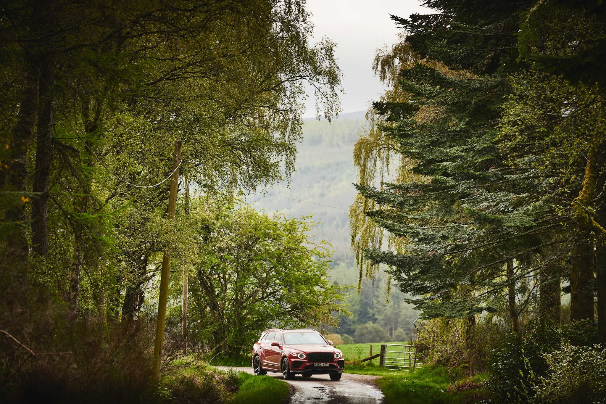 The Macallan y Bentley Motors se únen para ofrecer un futuro lleno de lujo y sustentabilidad