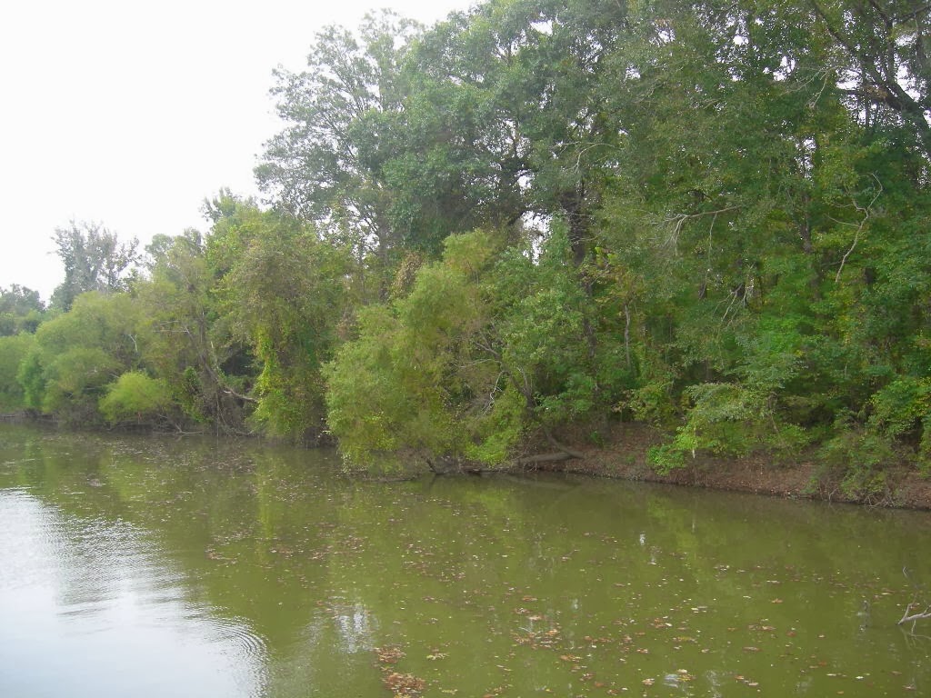 Our Great Loop Adventure: End of the Tombigbee River