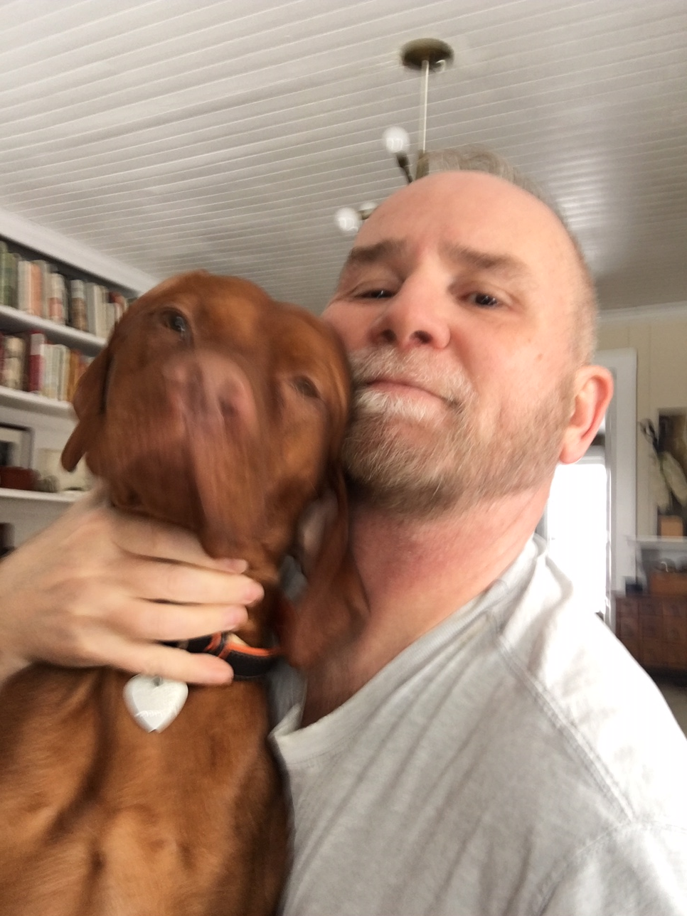 coffee with a canine: 2020