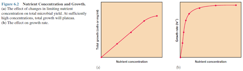 Microbiology Notes: Microbial Growth : Bacterial Growth Curve