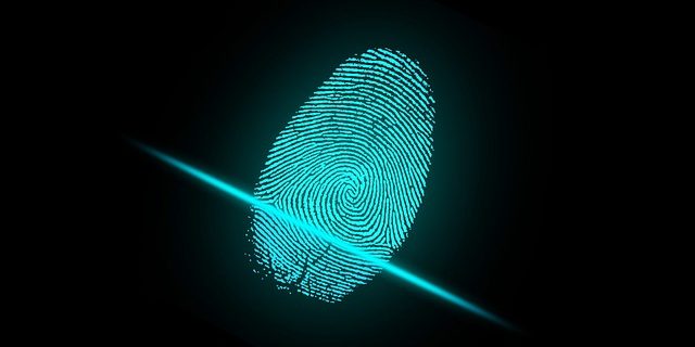 ¿Qué Es La Lofoscopia?