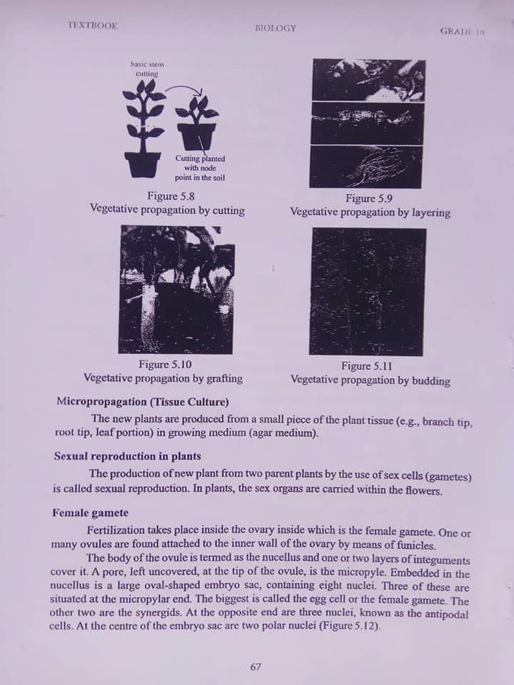 Edu Grade 7 သတ္တမတန်းသင်ရိုးသစ် ပထဝီဝင်