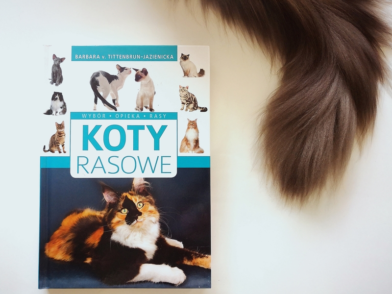 Barbara Tittenbrun-Jazienicka – „Koty Rasowe. Wybór, opieka, rasy.” - Kot Warszawski
