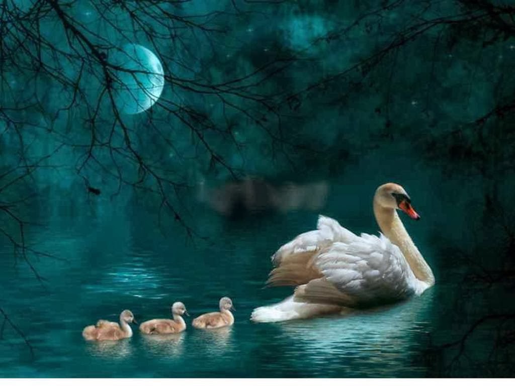 Lepe poruke i statusi ♥