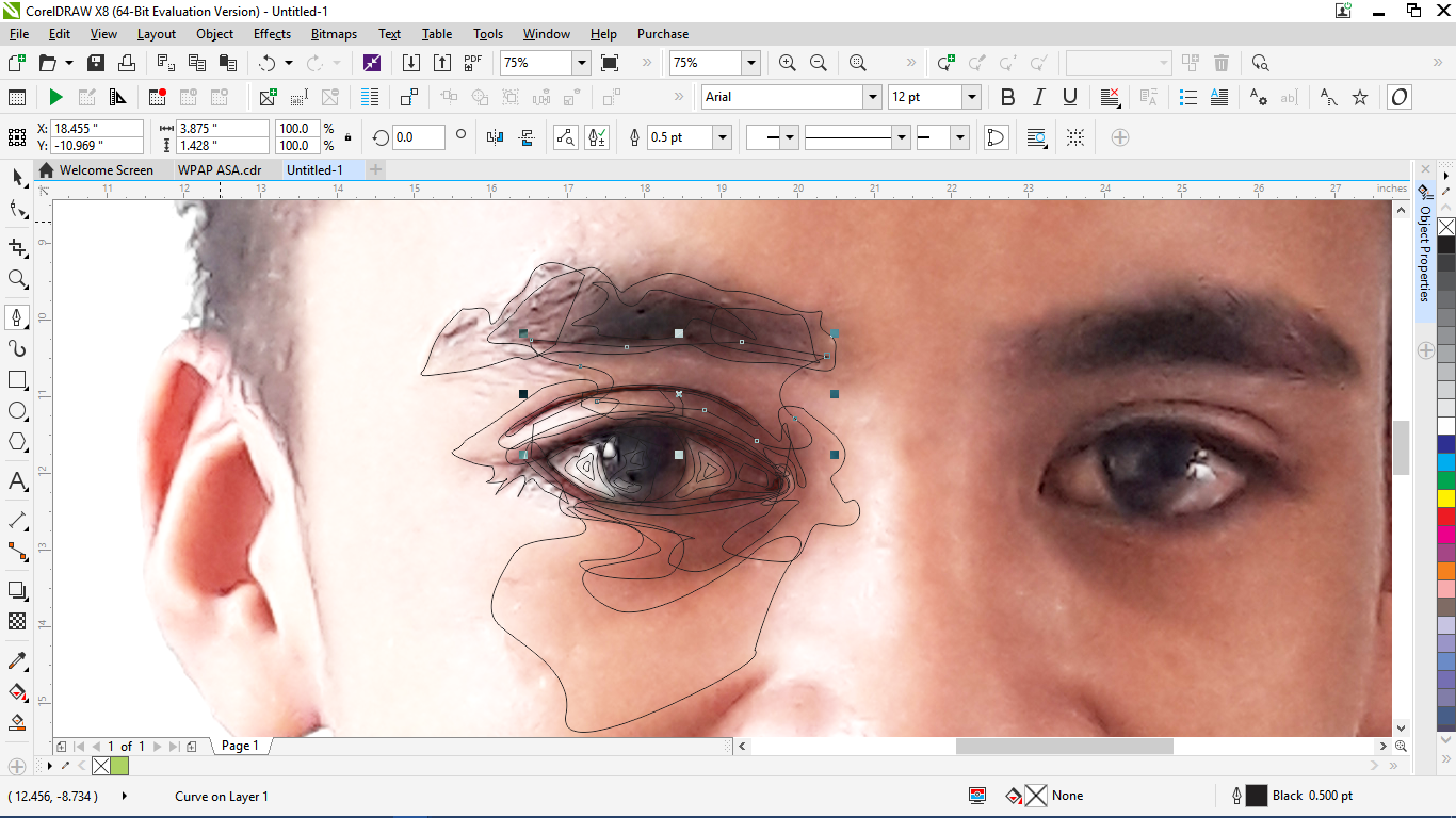 cara mengedit foto gampang: MEMBUAT VECTOR DEGAN CDR X8