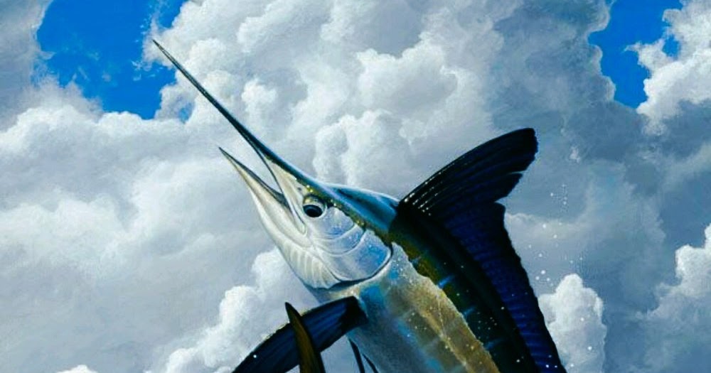 Ikan Marlin; Klasifikasi, Morfologi, Habitat Dll - Melek Perikanan