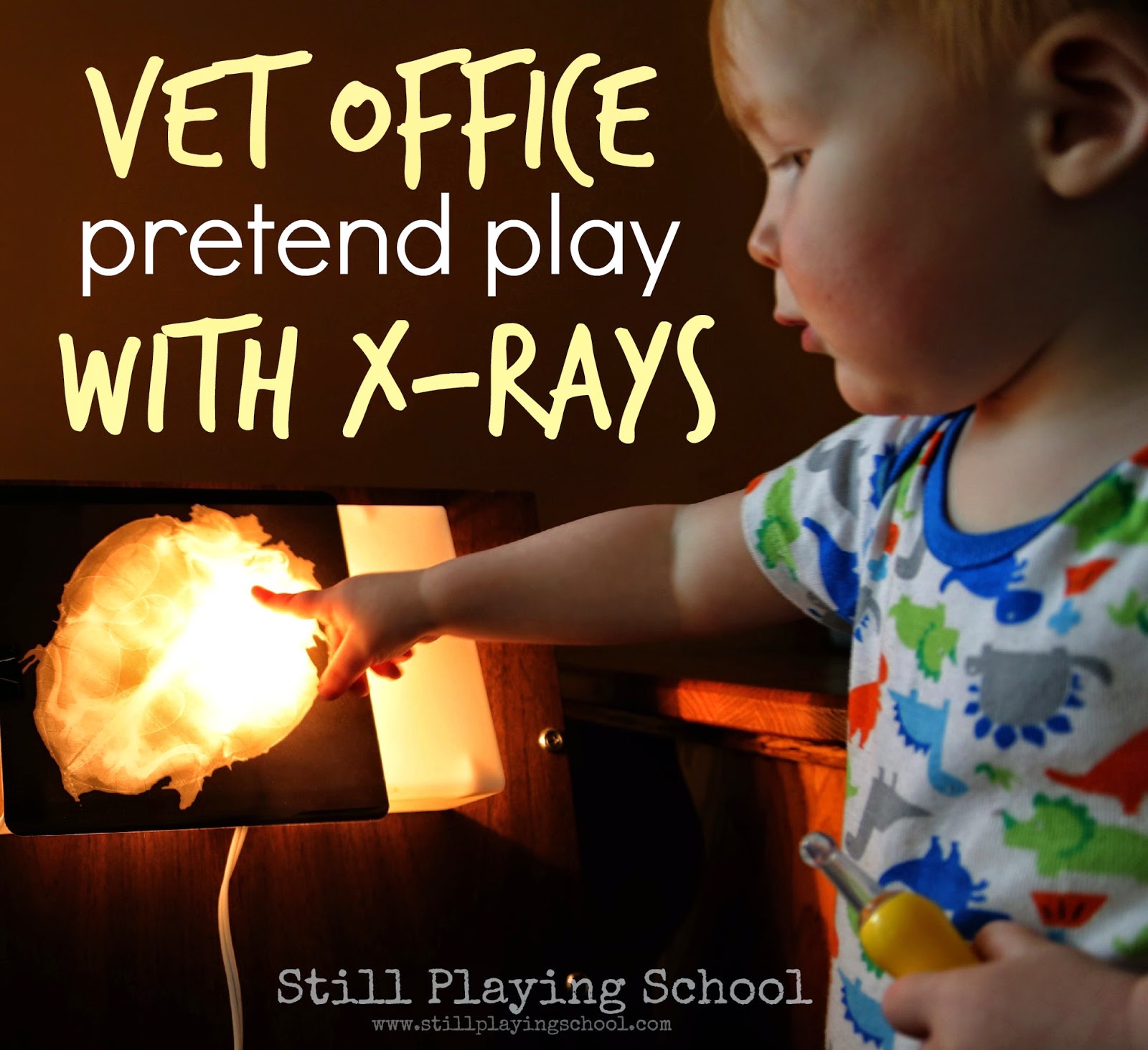 Animal X Rays For Kids