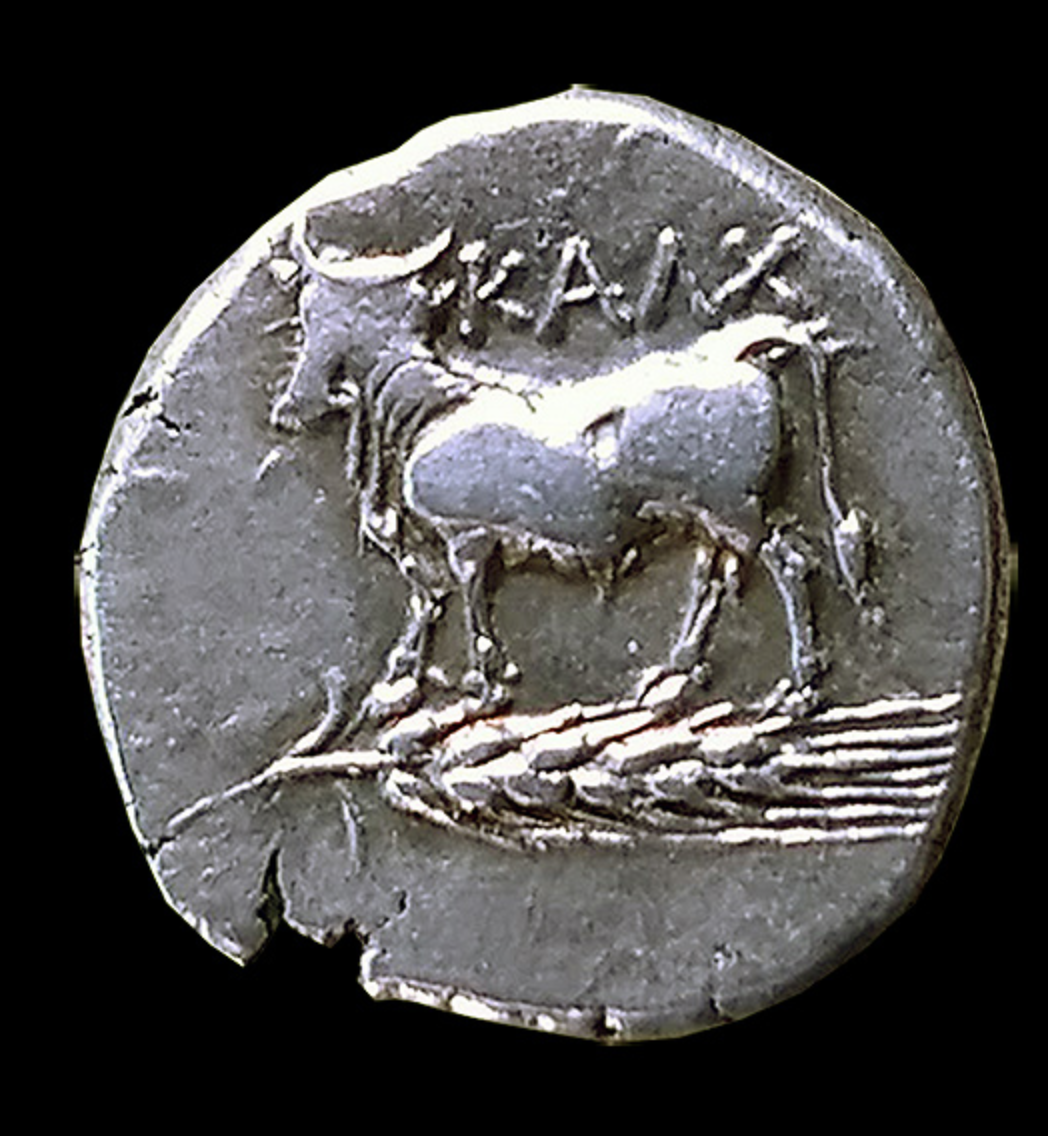 Old European culture: Calydonian boar