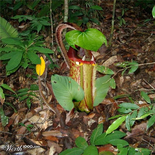 Gaming-Ar: Si los videojuegos fueran reales - Parte 2 - Pokemon