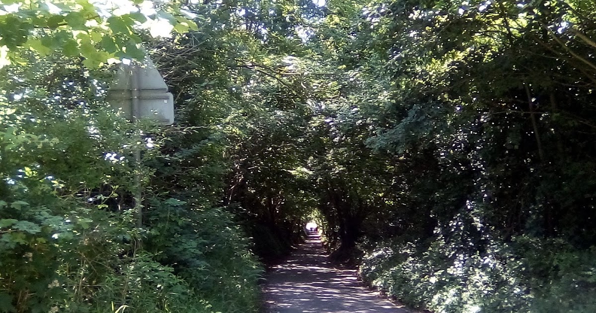 Crow Lane