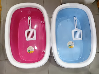 Cara Merawat Anak Kucing Yang Tidak Ada Induknya