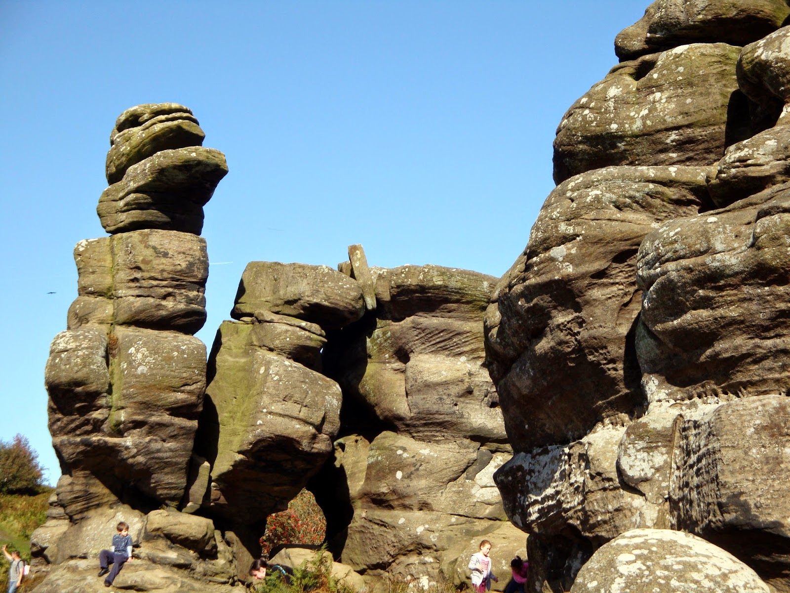 Roy's blog: BRIMHAM ROCKS