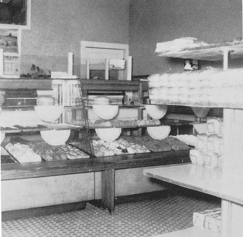 IMAGES OF OUR PAST - BENSON'S BAKERY - 1960, DUBLIN, GEORGIA. WEST ...