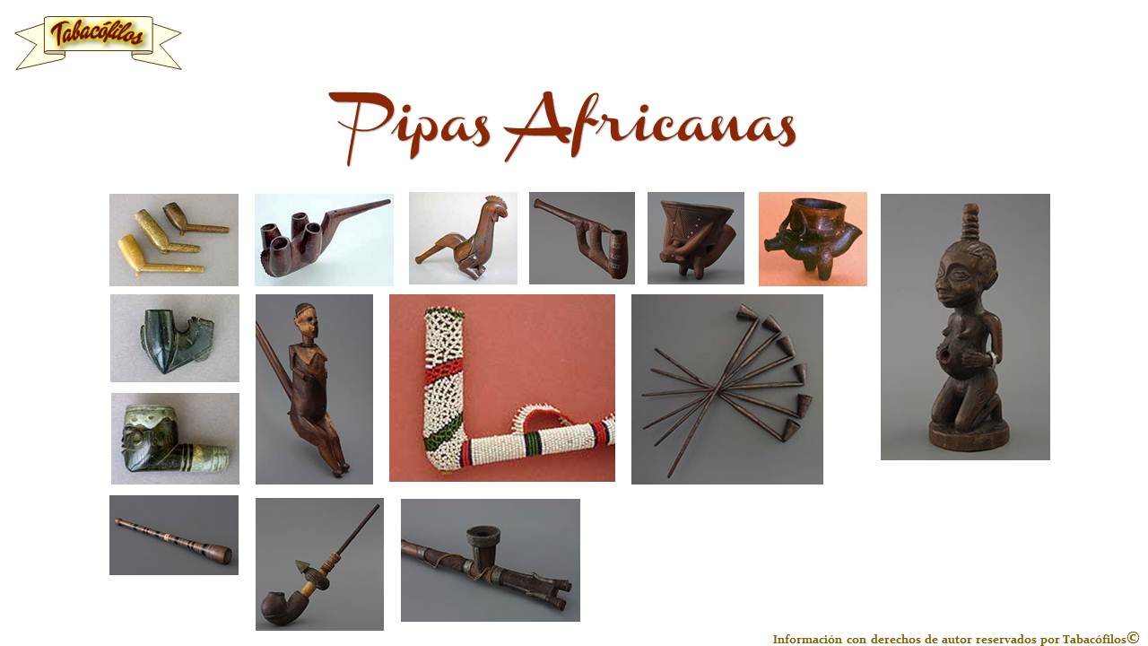 TABACÓFILOS y el Colombia Pipa & Puro Club