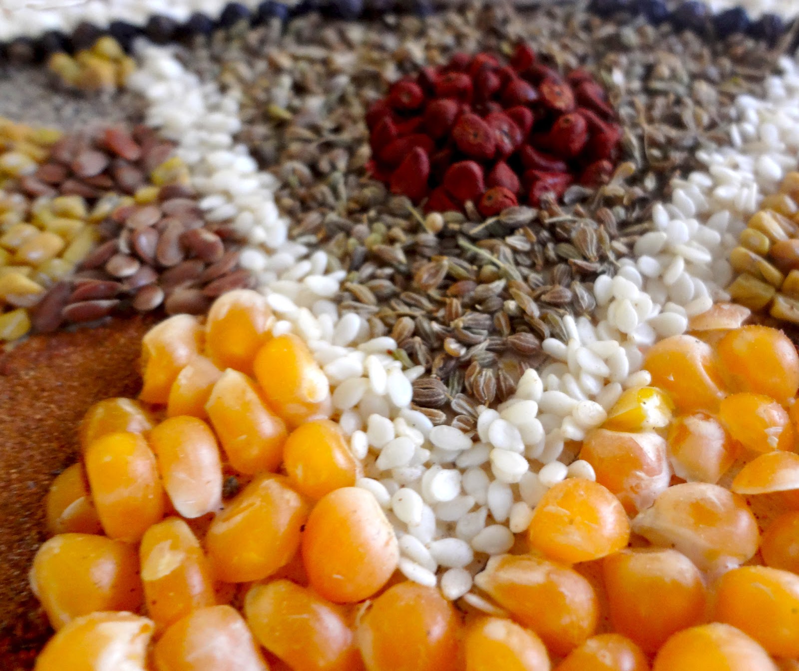 Elba Raquel: Seed Painting