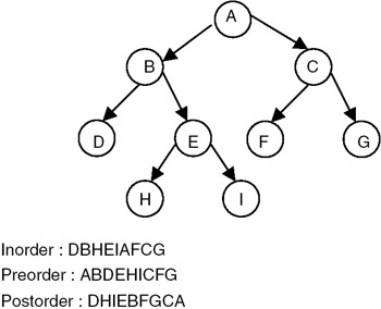Binary tree - Data structure ~ Kalpa Gunarathna`s Blog