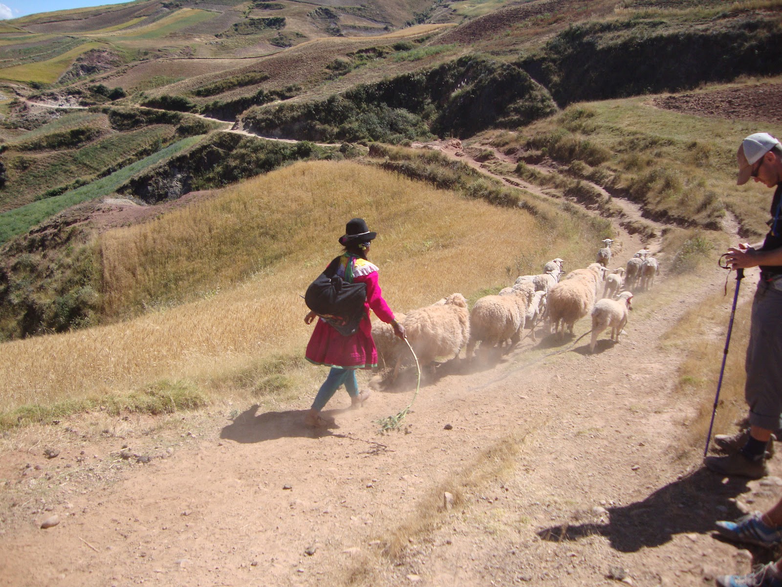 Traveling Teacher Online!: Meeting the Quechua People of Peru