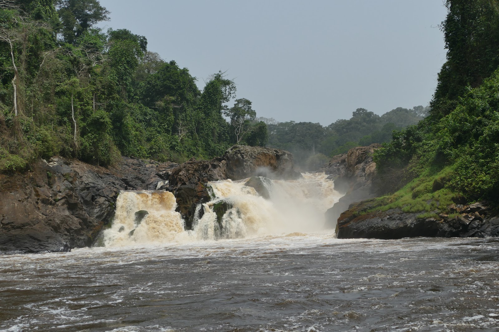 MOKELE - MBEMBE EXPEDITIONS: 2017