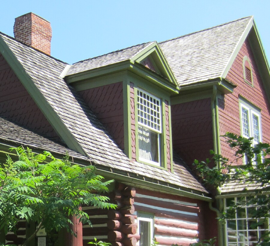 Bird's Yellow House: Loving Limberlost