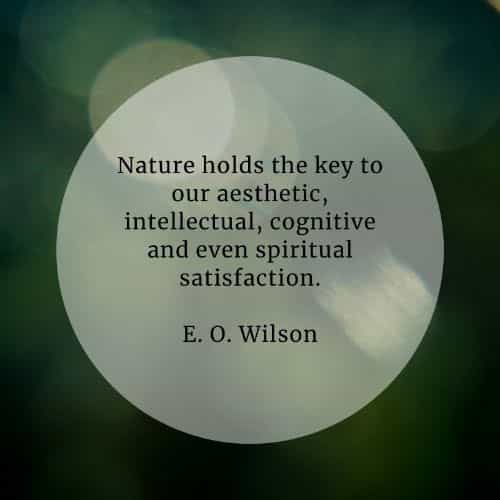 31 Aesthetic quotes that'll tell you more about the matter