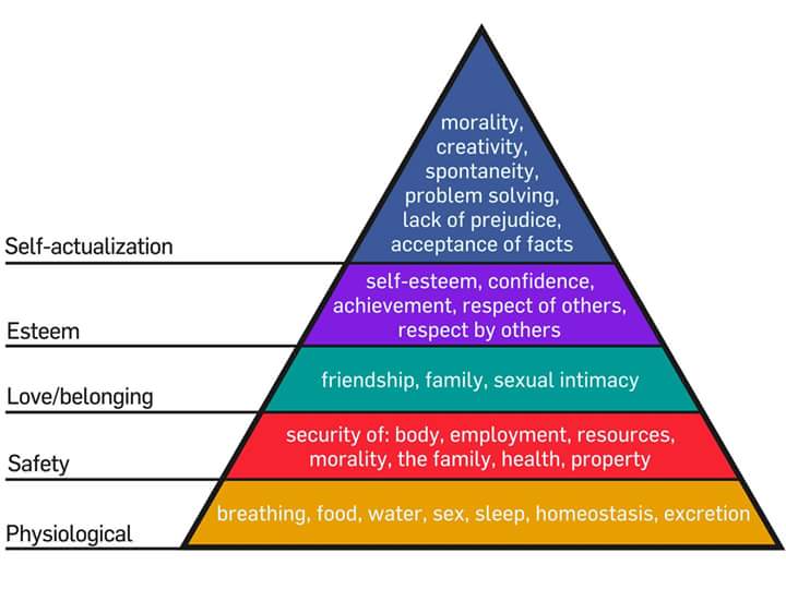 Main Elements Of Teacher Education Programme main-elements-of-teacher-education-programme