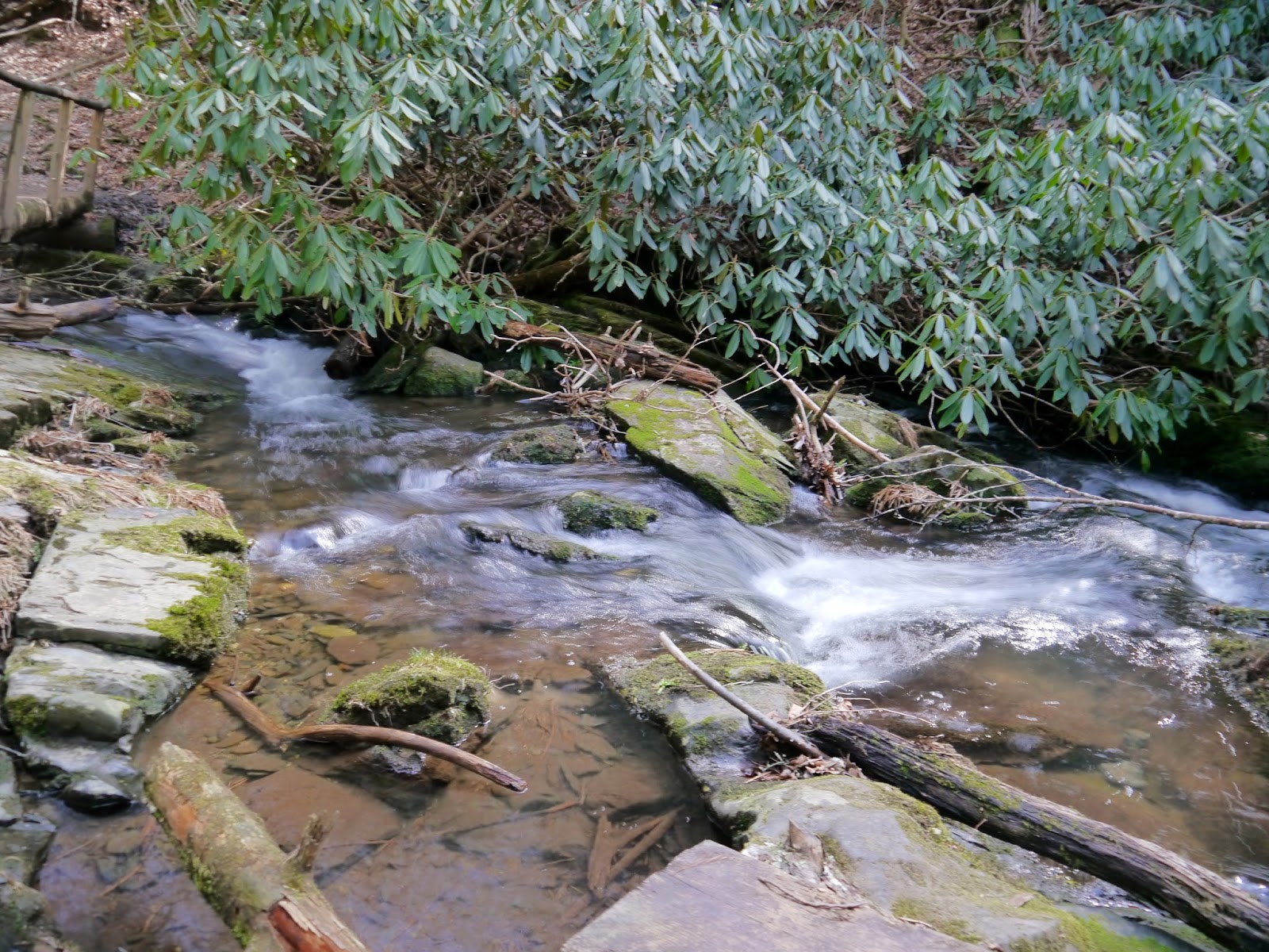 American Travel Journal: Abrams Falls Trail - Great Smoky Mountains ...