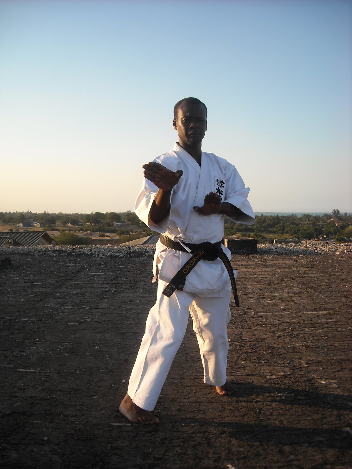 TANZANIAN KARATE: 2012