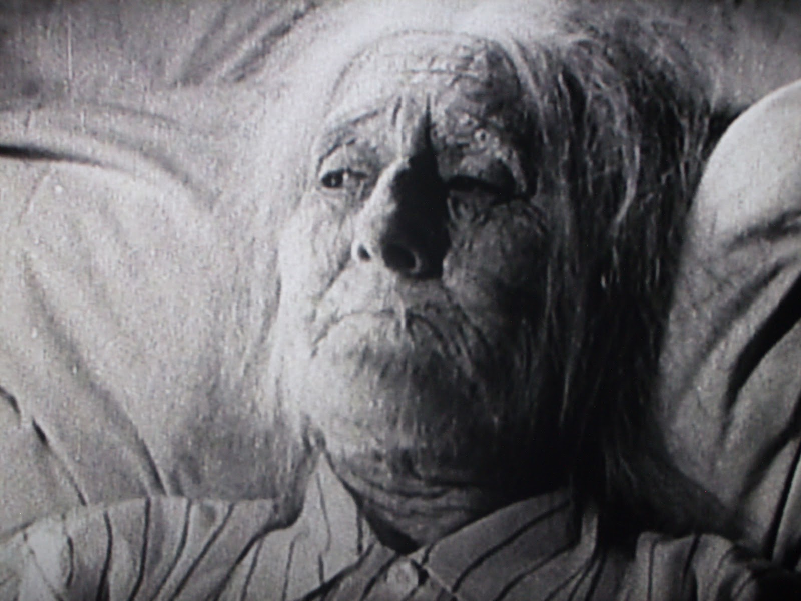 Kiss My Review: The Old Dark House - 1932