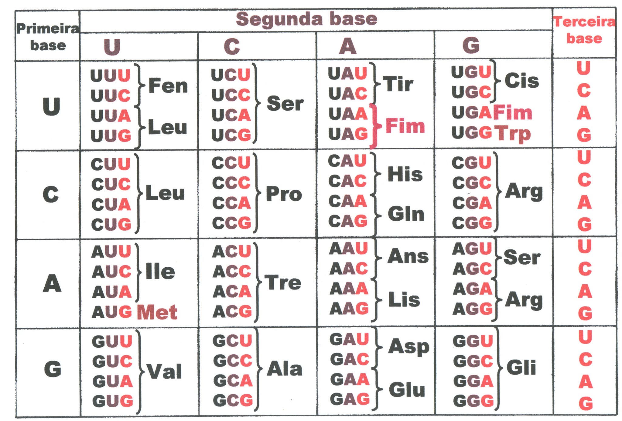 BIOLOGIA PARA A VIDA : janeiro 2021