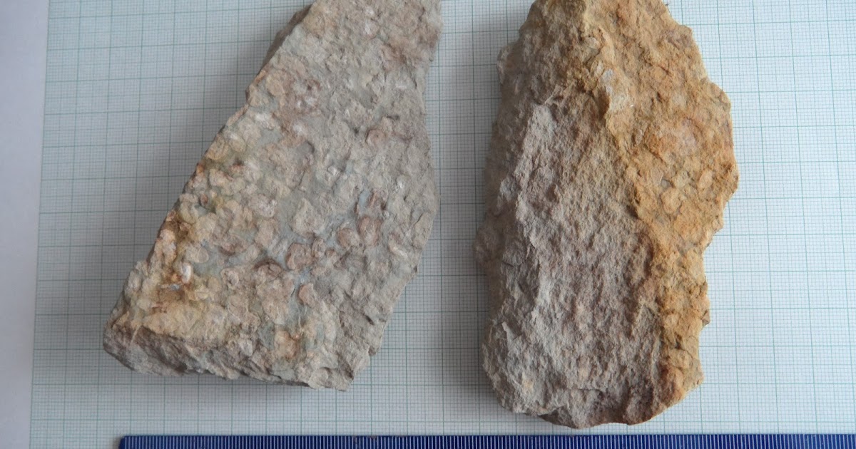 Fossils and Geology of Lanark County, Ontario: Phenocrysts in a Bed of ...