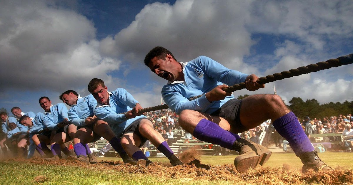 An STEM Consultant, International Business And Scholarships Consulting ...