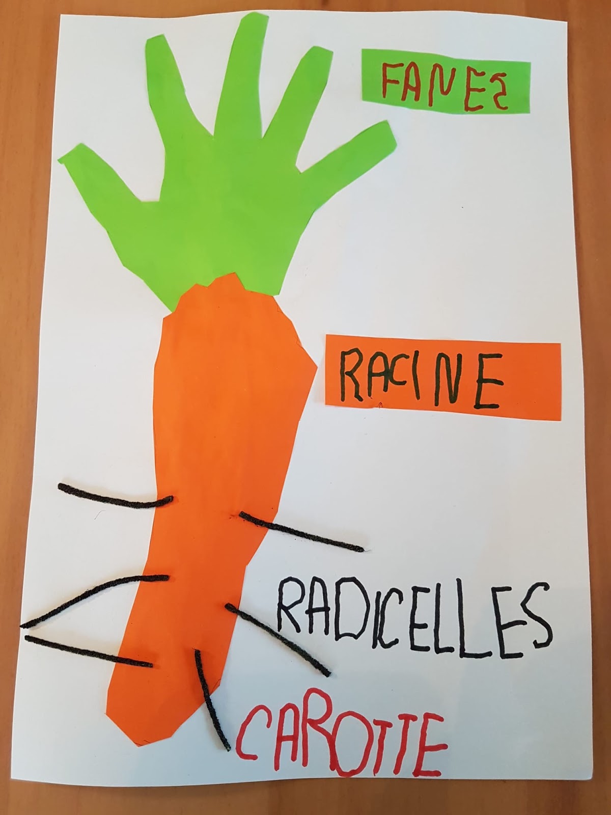 La classe de Dorothée: Les carottes - retours des enfants