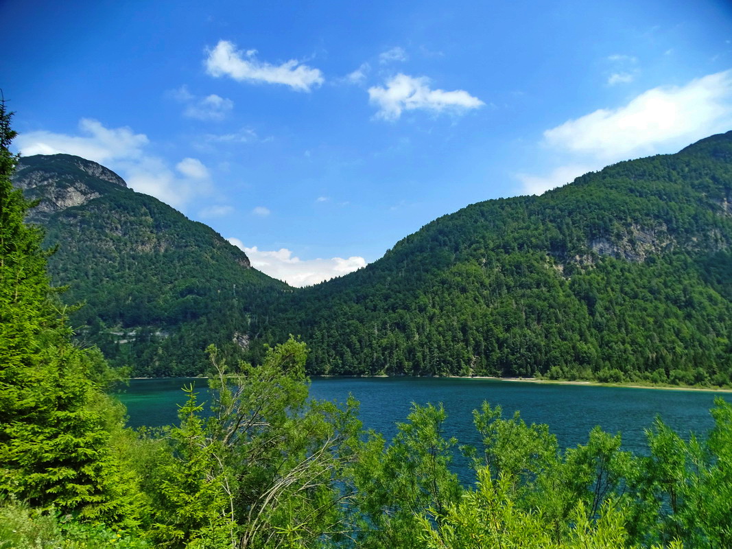 Malfa "Forestiero Nomade": Vetta Bella dalla Val Rio del Lago.