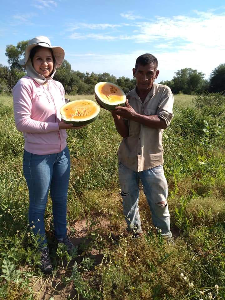 Los 24 años del PAIPPA: un programa que transformó la producción ...