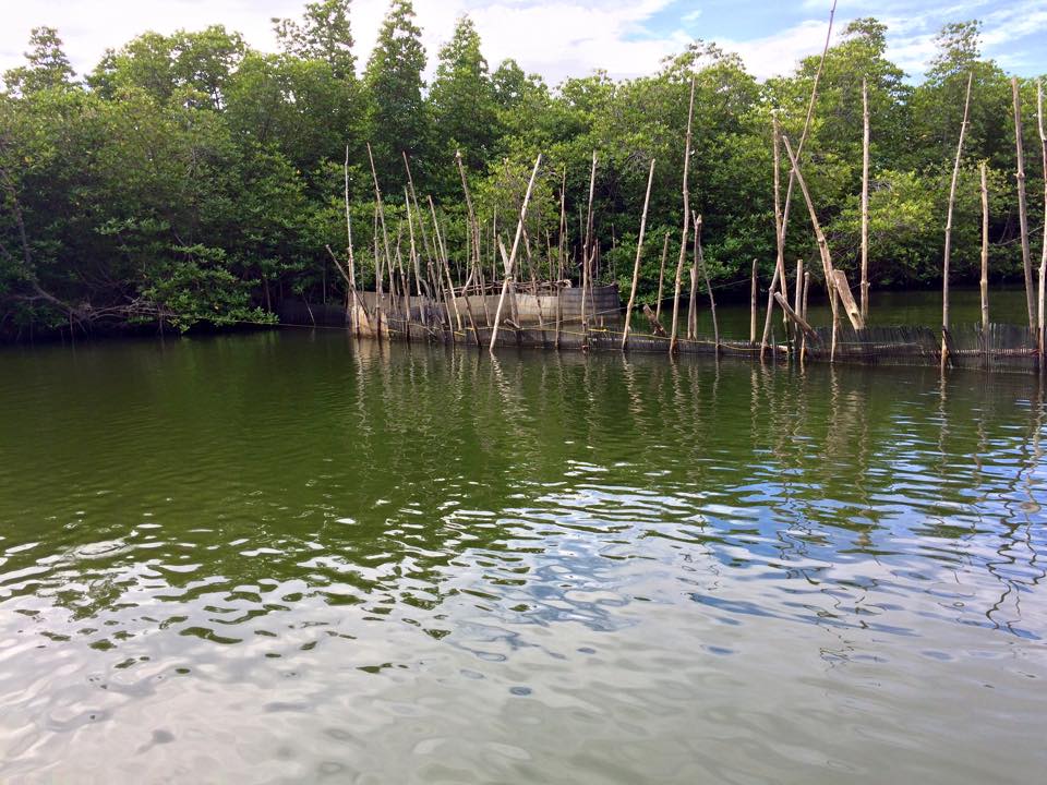 සිතක සංකල්පනා: මාදු ගඟේ බෝට්ටු සවාරිය -2