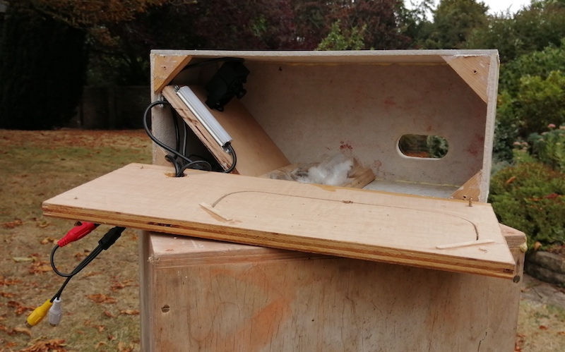 Action for Swifts: Swift brick camera box