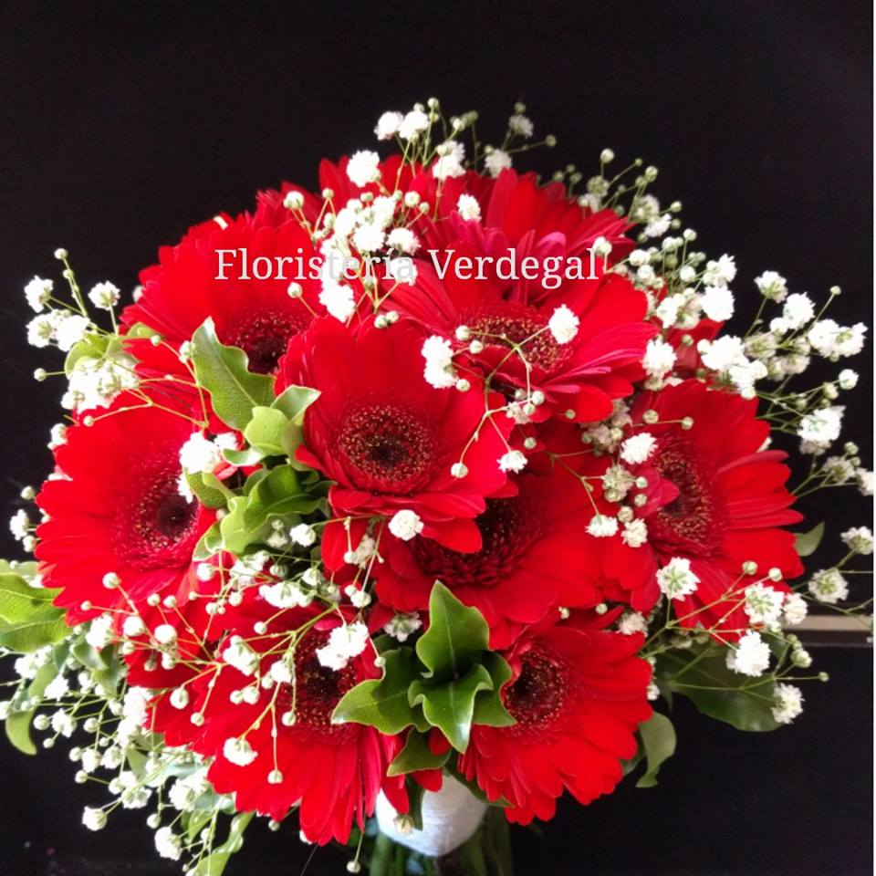 Ramos de Novia: Bouquet de Gerberas Rojas
