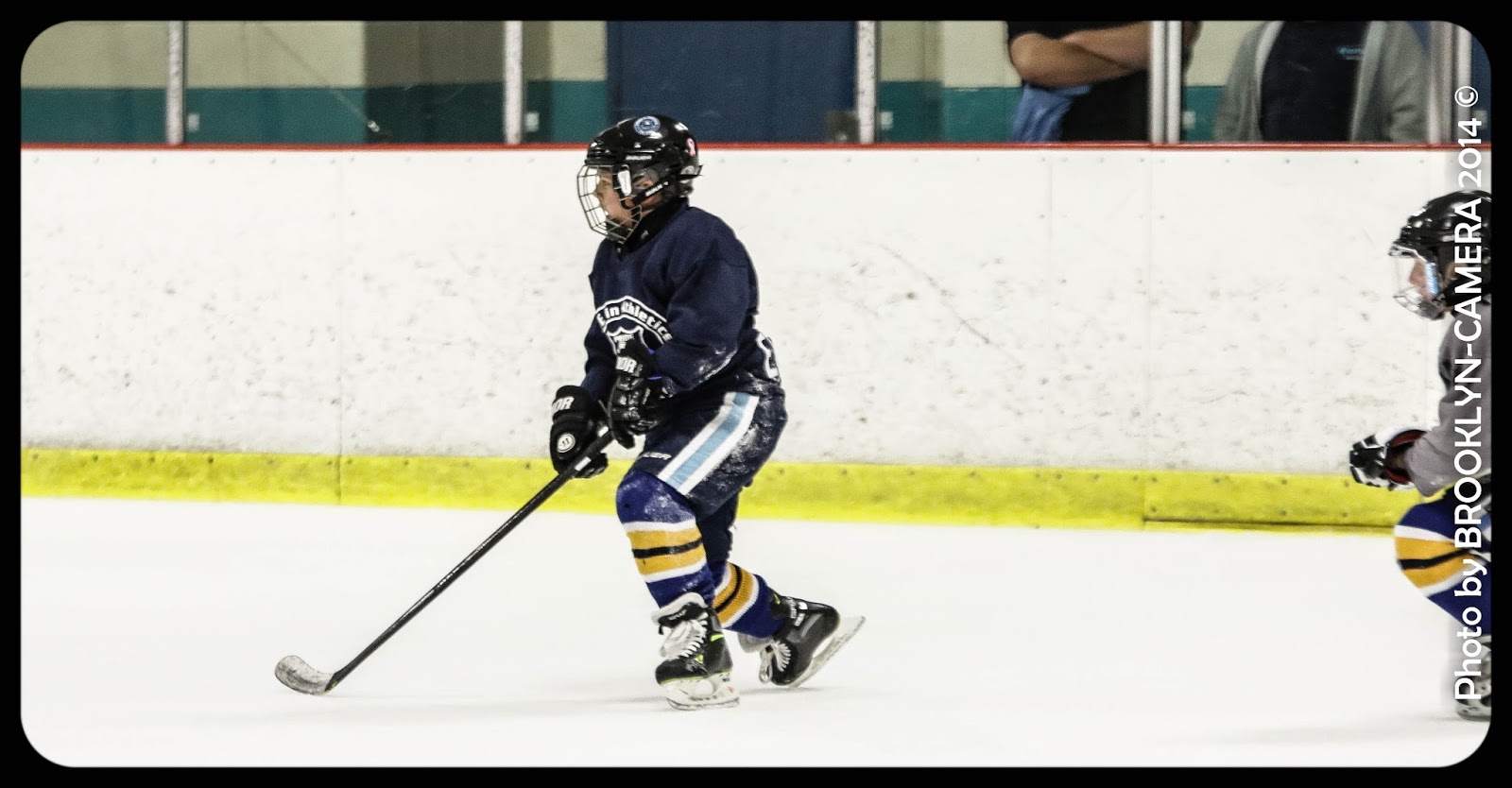 BROOKLYN-CAMERA 2014: LITTLE GUYS AT THE WASP Vs. BOLDEST HOCKEY GAME ...